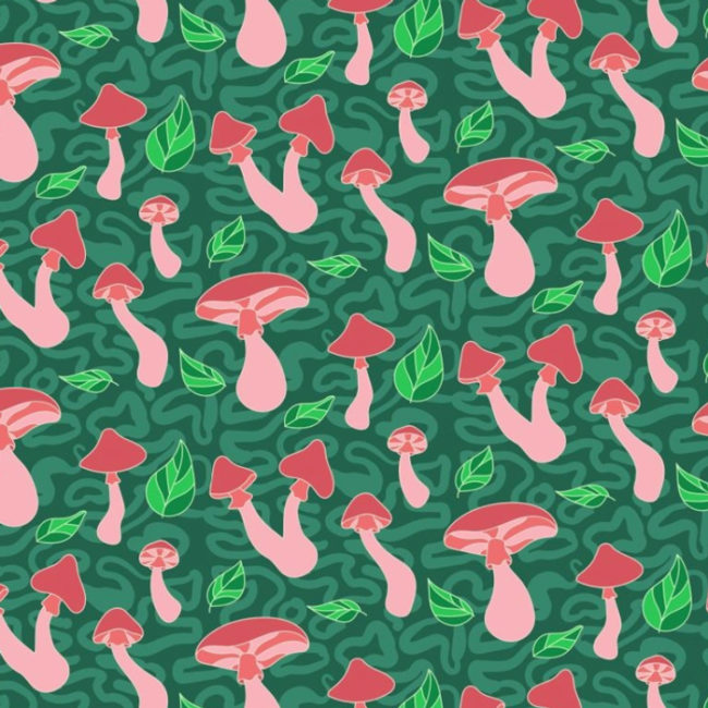 Mushroom | Next State