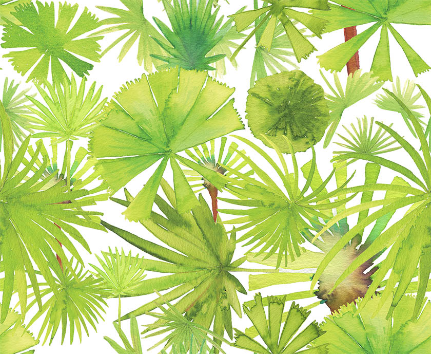 Rachel_King_Designs Tropical Fronds | Next State